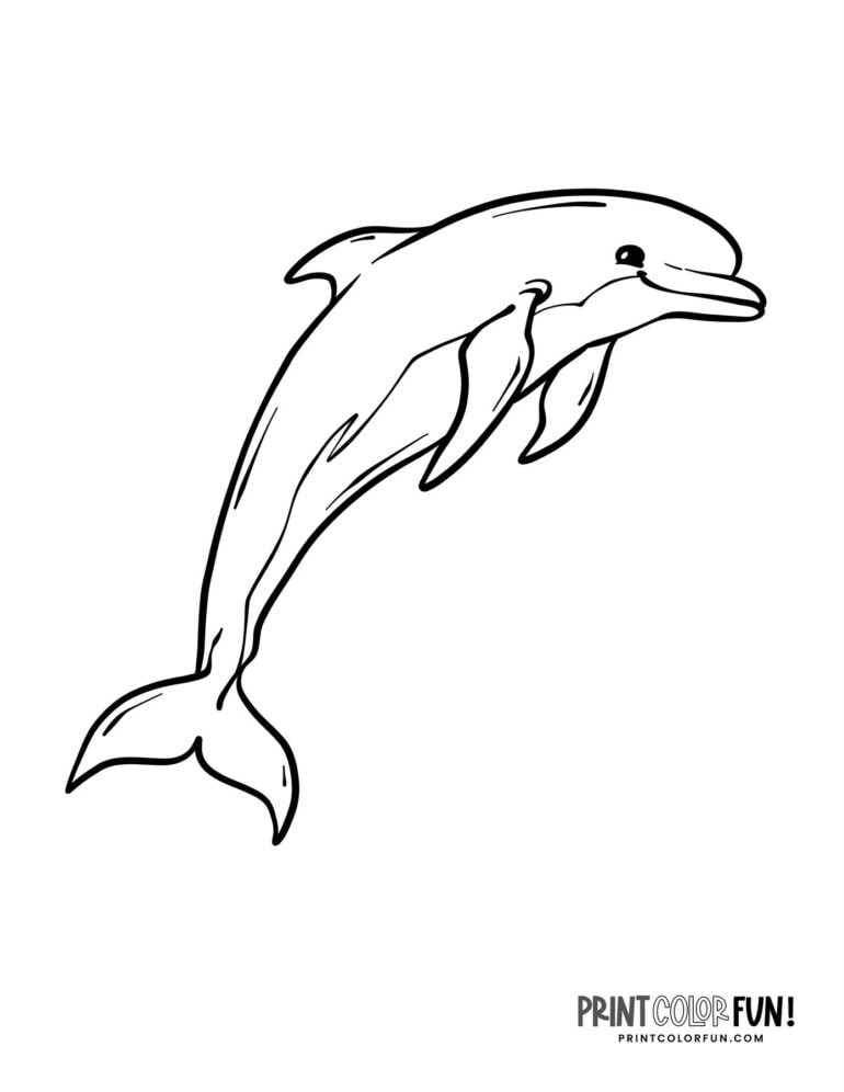 27 printable dolphin coloring pages: Dive into a world of fun crafts ...