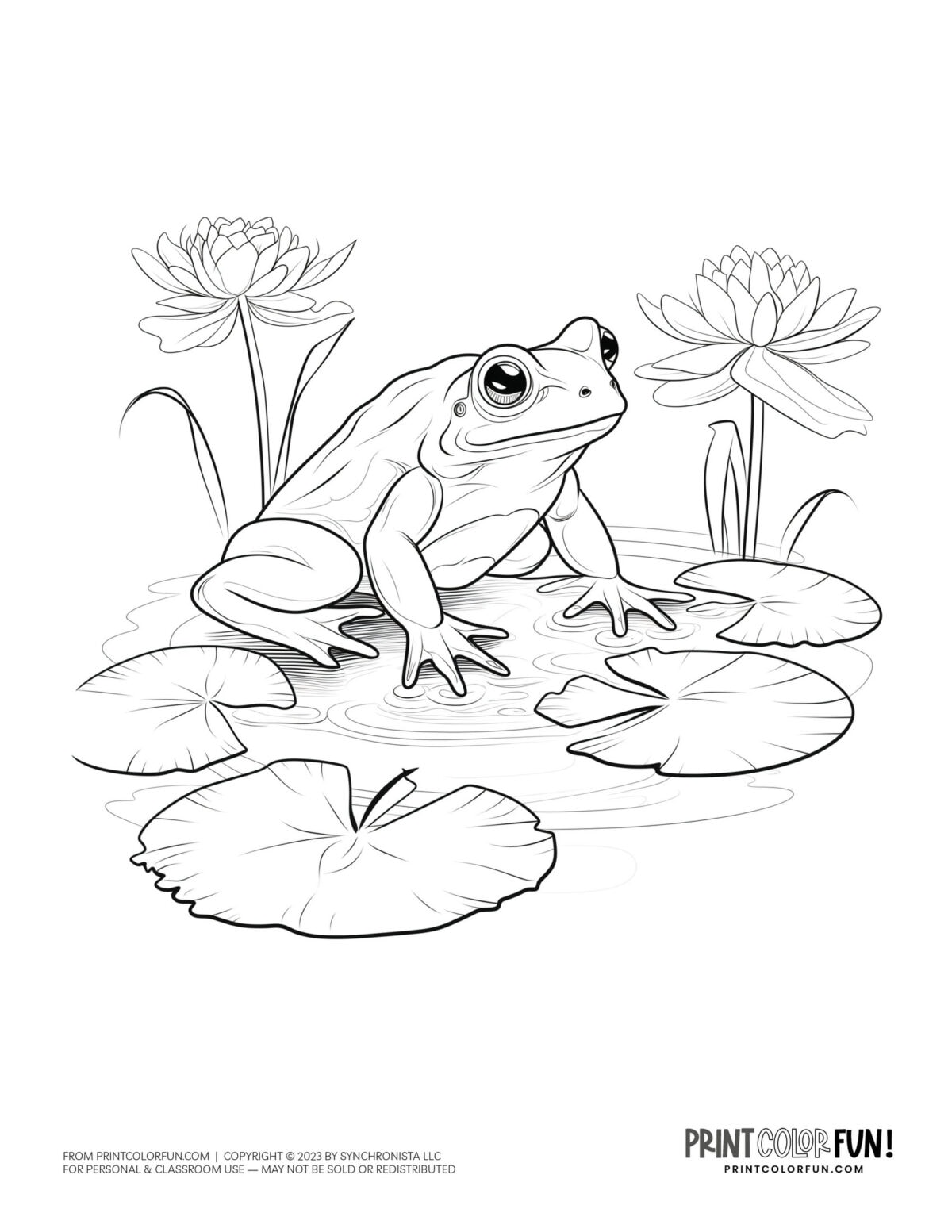 20+ frog clipart & coloring pages: Plus creative craft ideas, facts ...