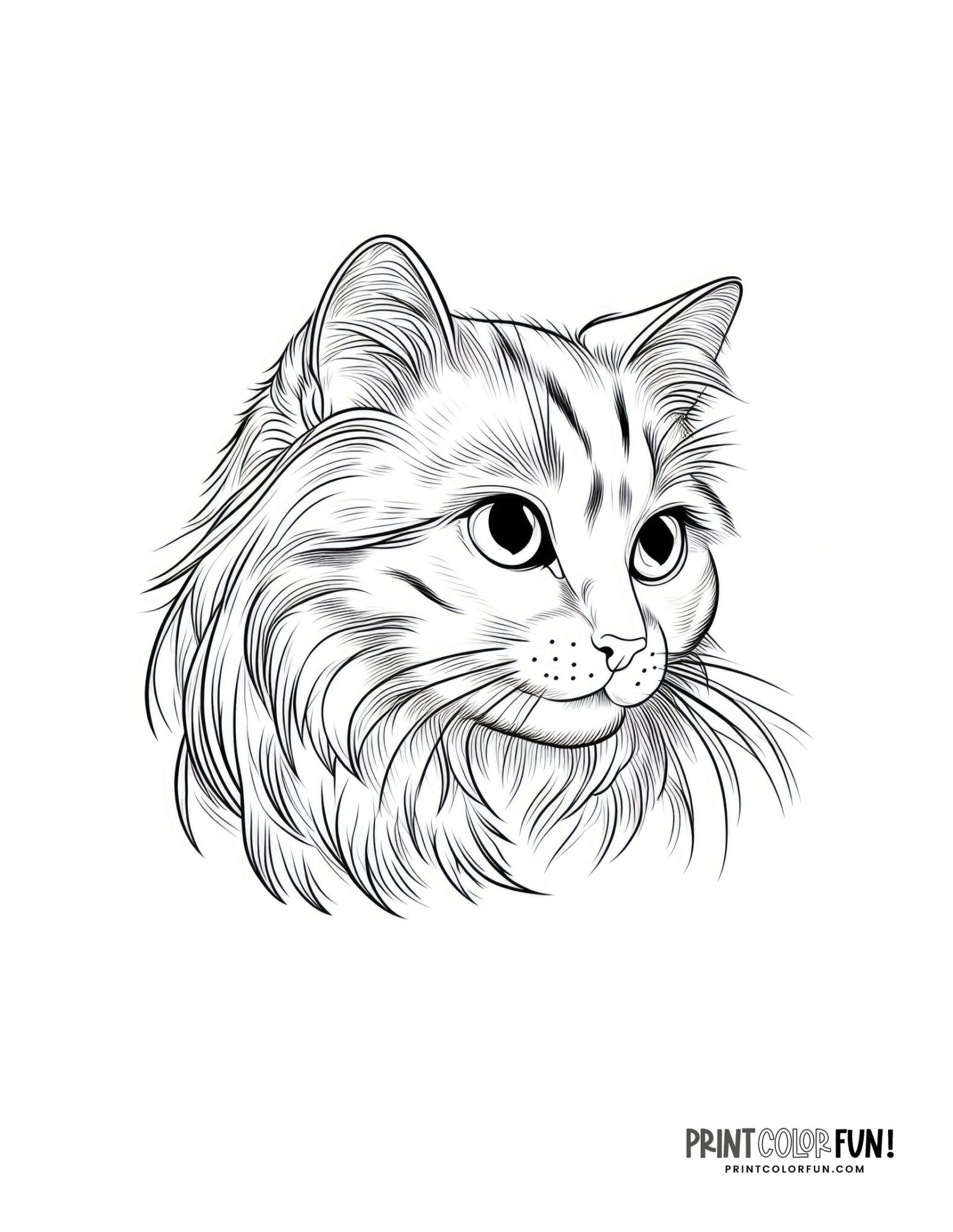 Paws & play: 50+ cat coloring pages, craft fun & more, at PrintColorFun.com