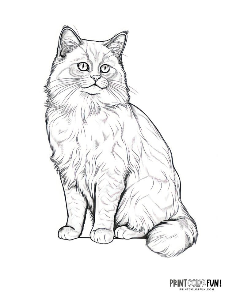Paws & play: 50+ cat coloring pages, craft fun & more, at PrintColorFun.com
