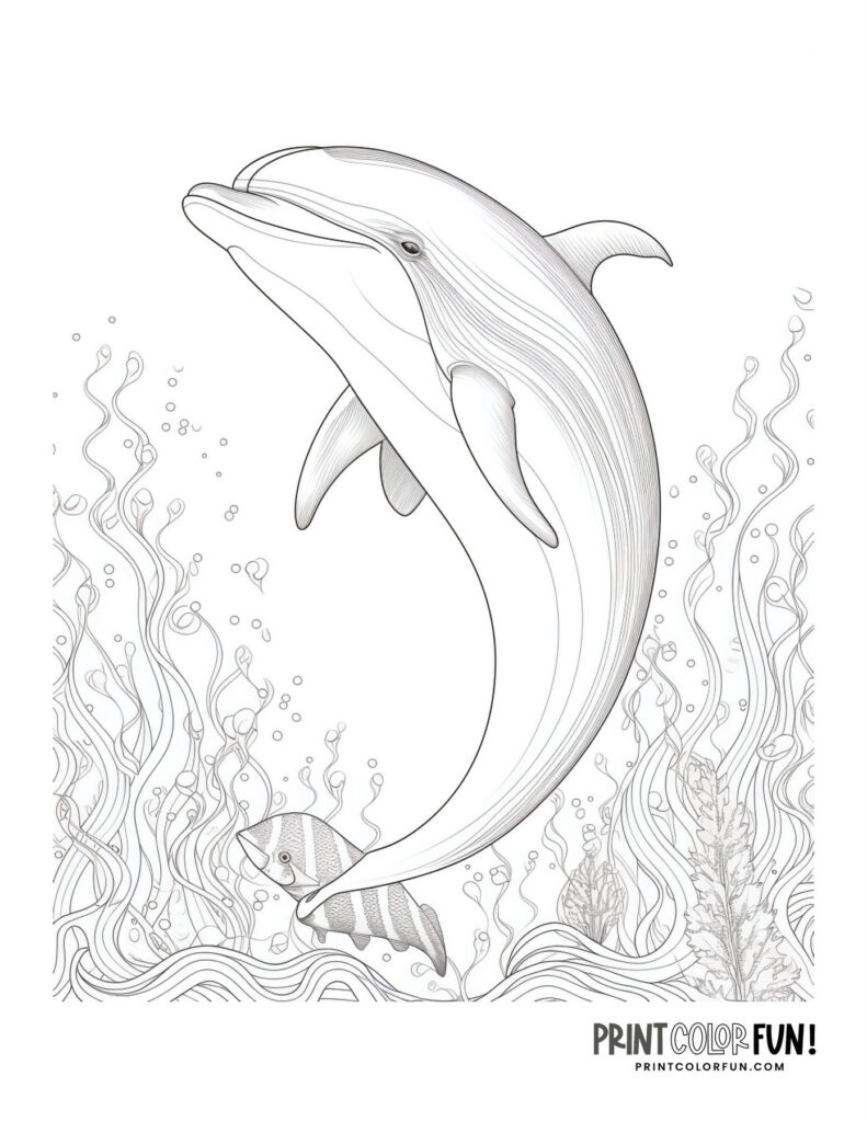 27 printable dolphin coloring pages: Dive into a world of fun crafts ...