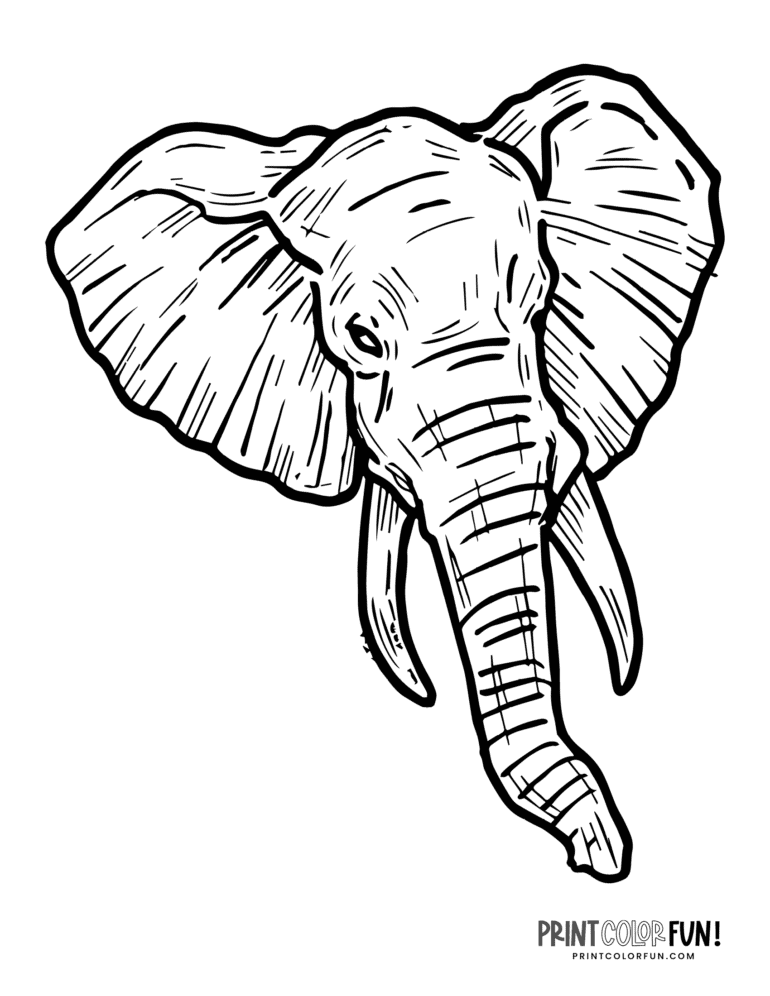 6 realistic elephant coloring pages to print, at PrintColorFun.com