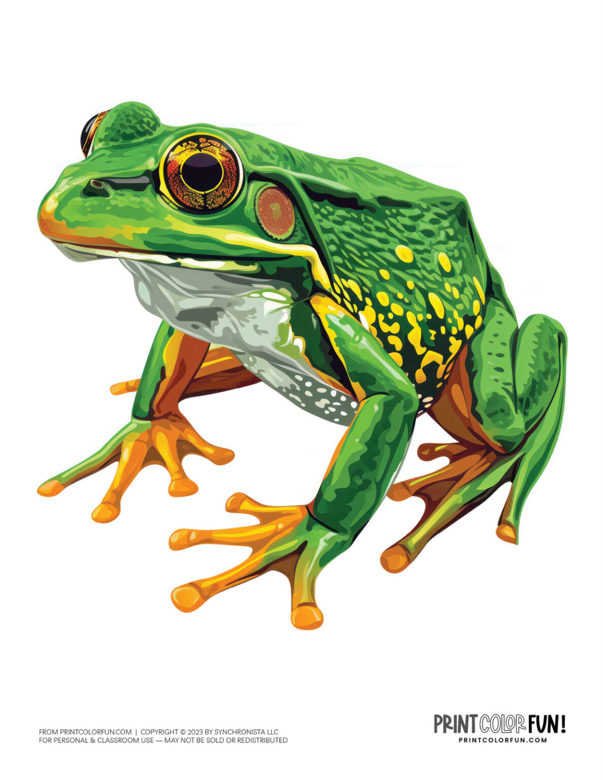 20+ frog clipart & coloring pages: Plus creative craft ideas, facts ...