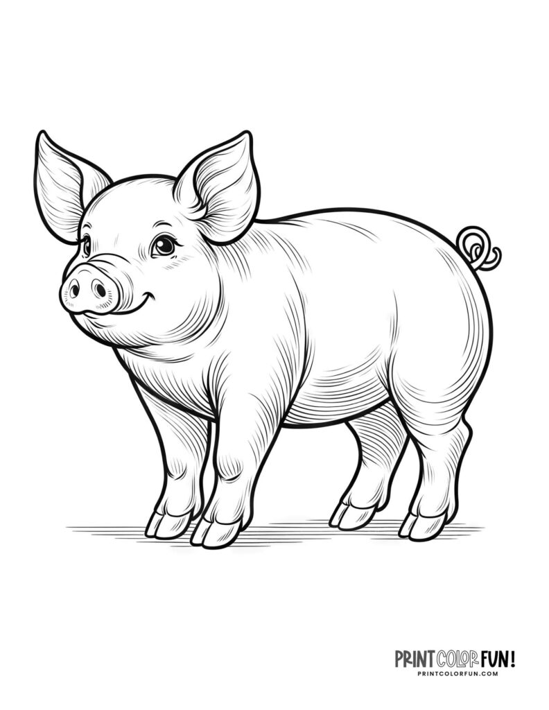 30 pig clipart & coloring pages: Go hog wild with our exclusive ...