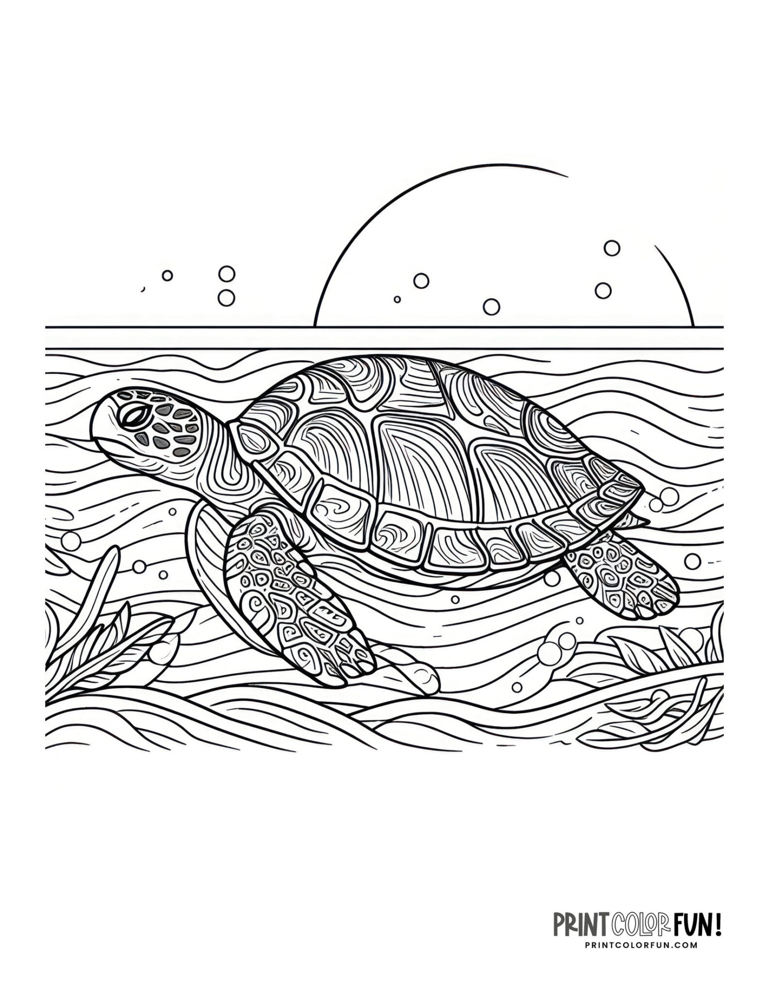 Sea turtle coloring pages & clipart, at PrintColorFun.com