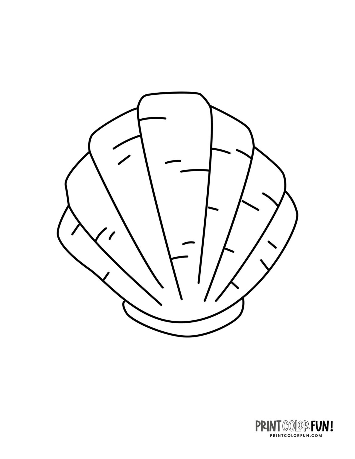 25+ Seashell clipart & coloring pages plus fun craft ideas for kids, at ...