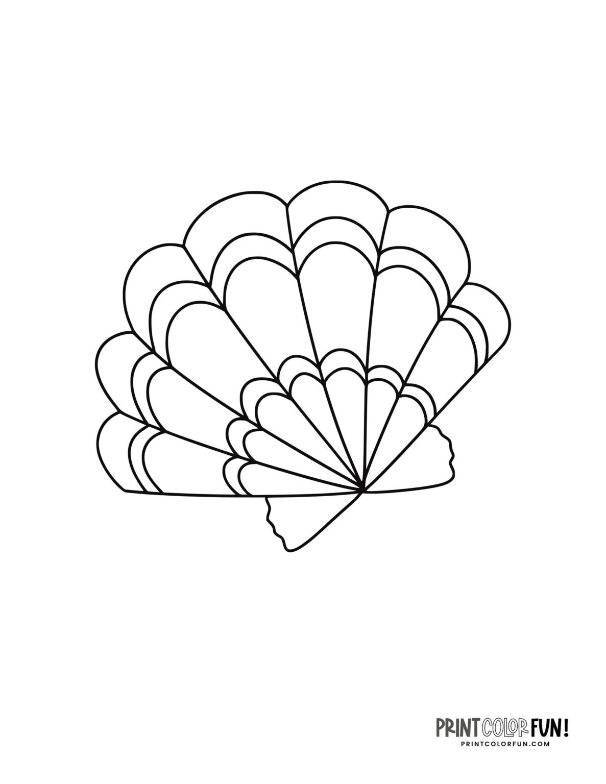 25+ Seashell clipart & coloring pages plus fun craft ideas for kids, at ...