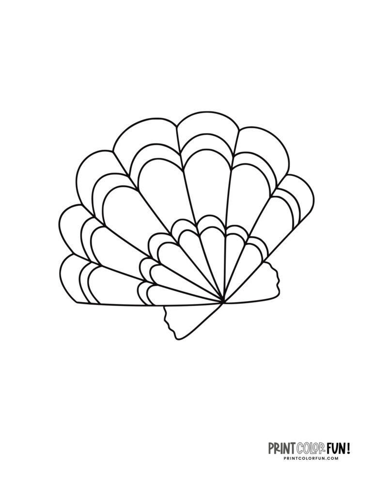 25+ Seashell clipart & coloring pages plus fun craft ideas for kids, at ...