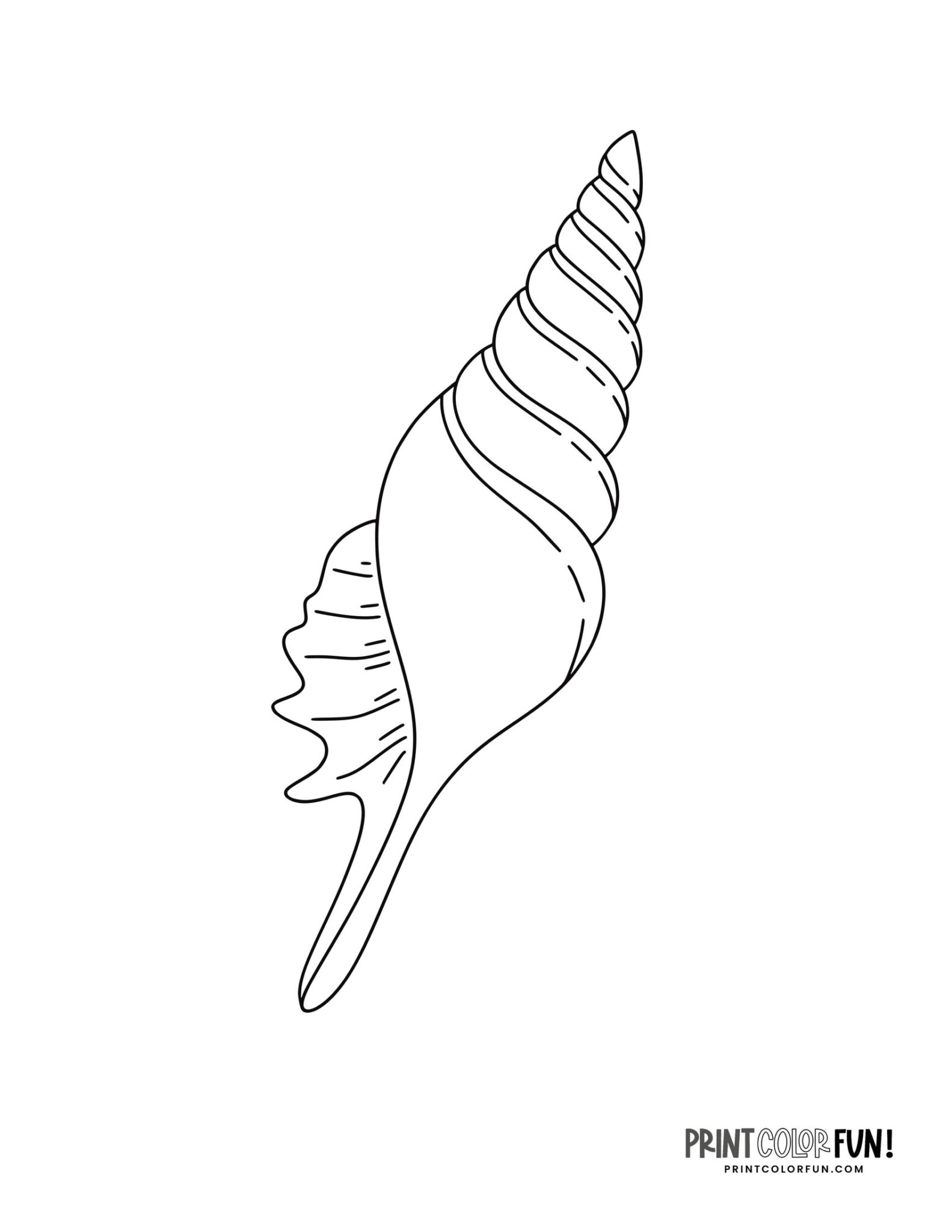 25+ Seashell clipart & coloring pages plus fun craft ideas for kids, at ...