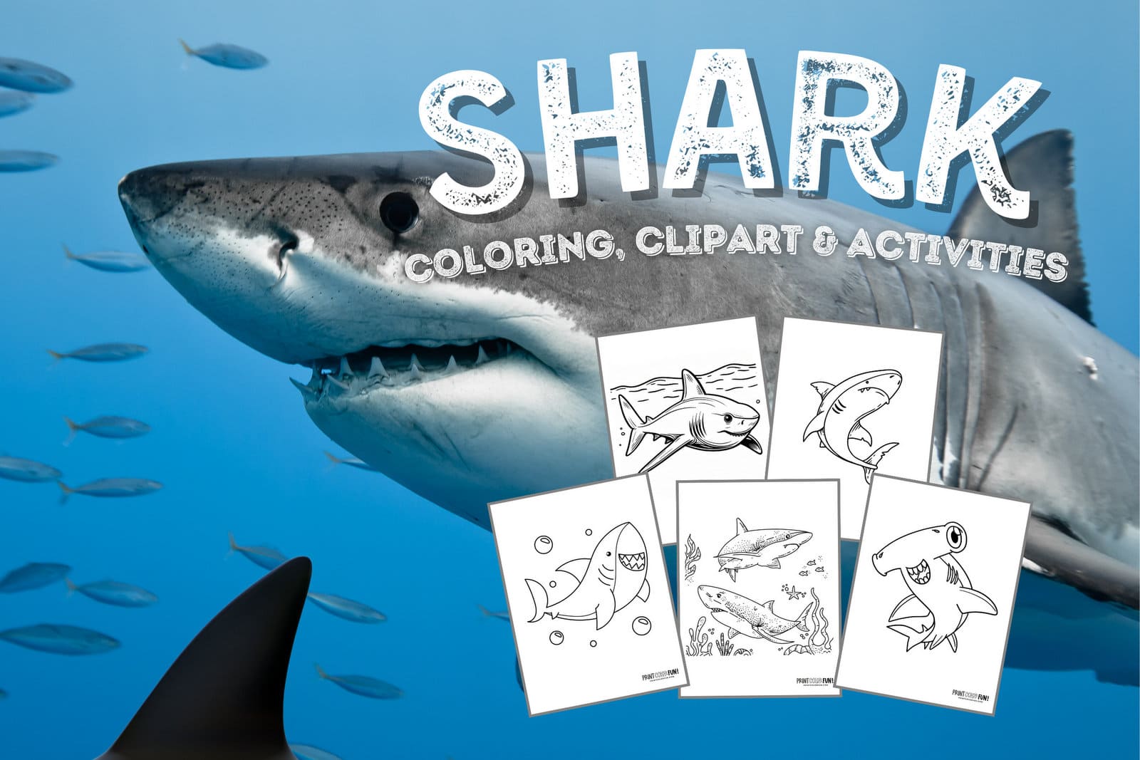 Coloring pages - Page 4 of 5 - PrintColorFun.com: Free printables ...