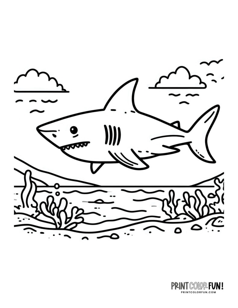 21 shark clipart & coloring pages: Dive into a sea of fun and ...