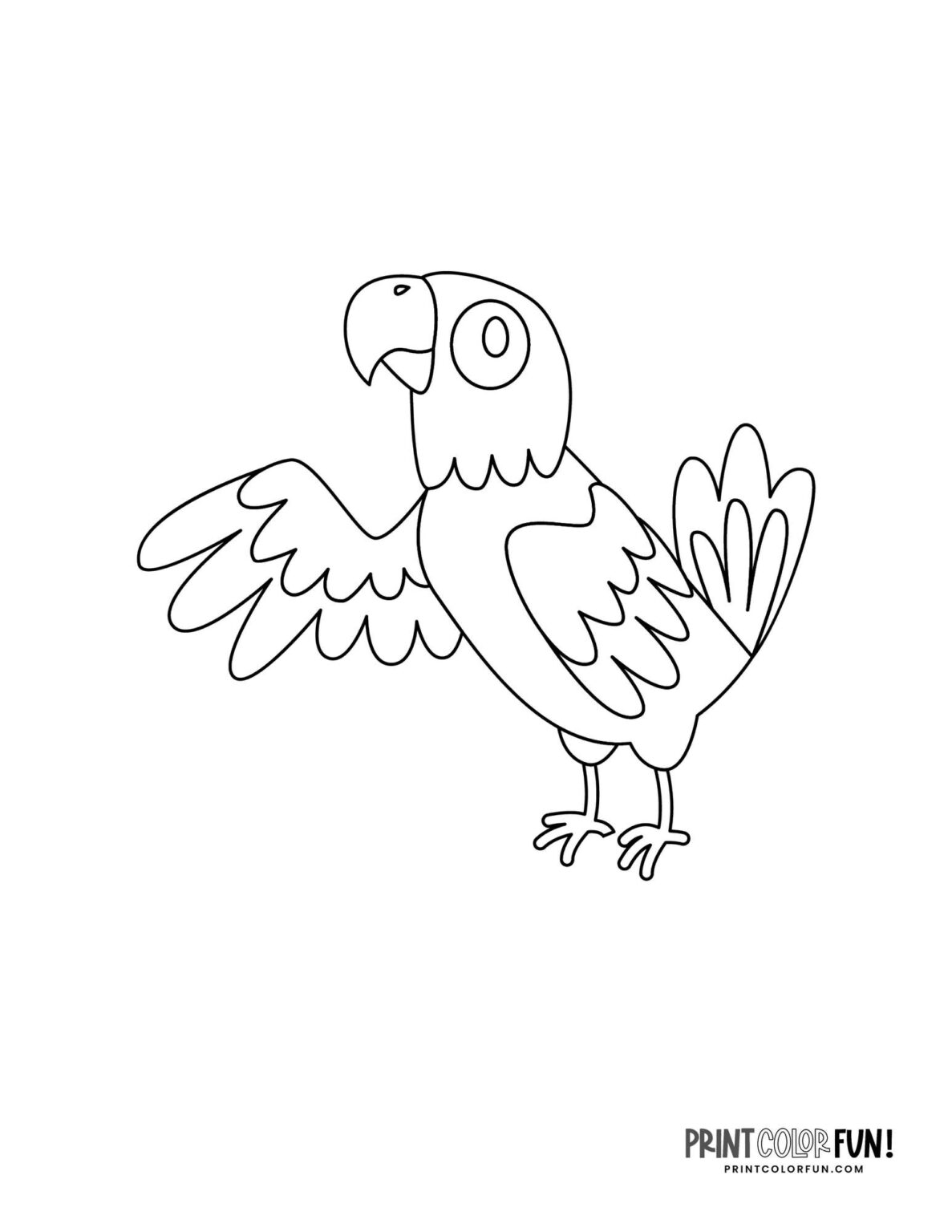 Parrot coloring pages, at PrintColorFun.com