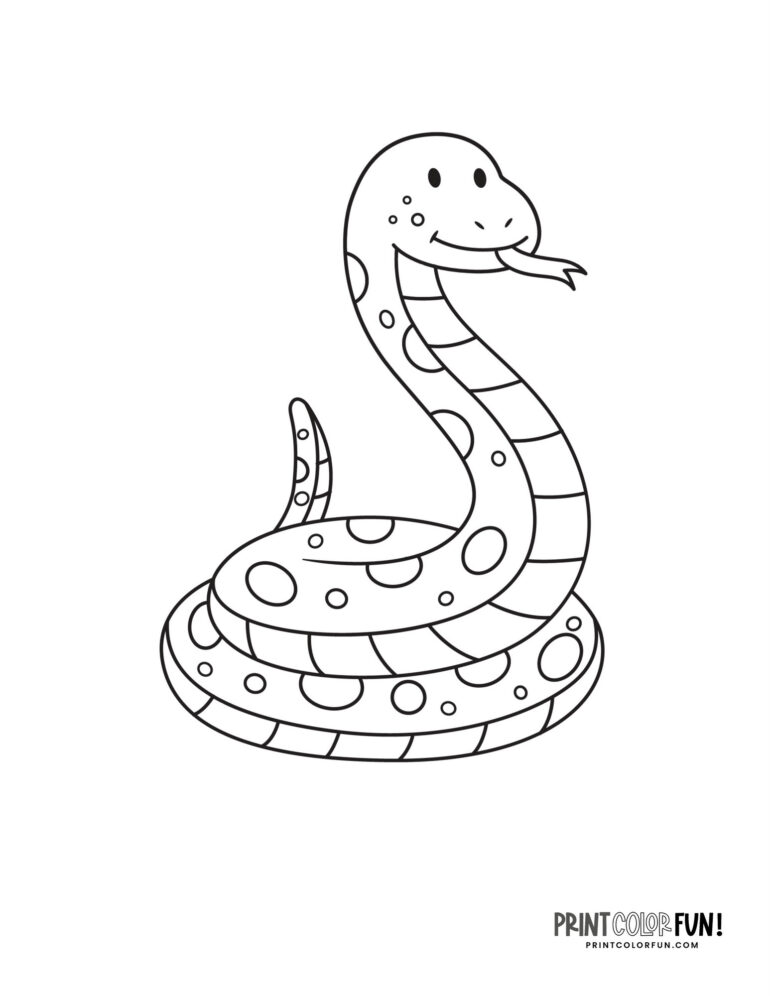 Snake coloring pages and clipart, at PrintColorFun.com