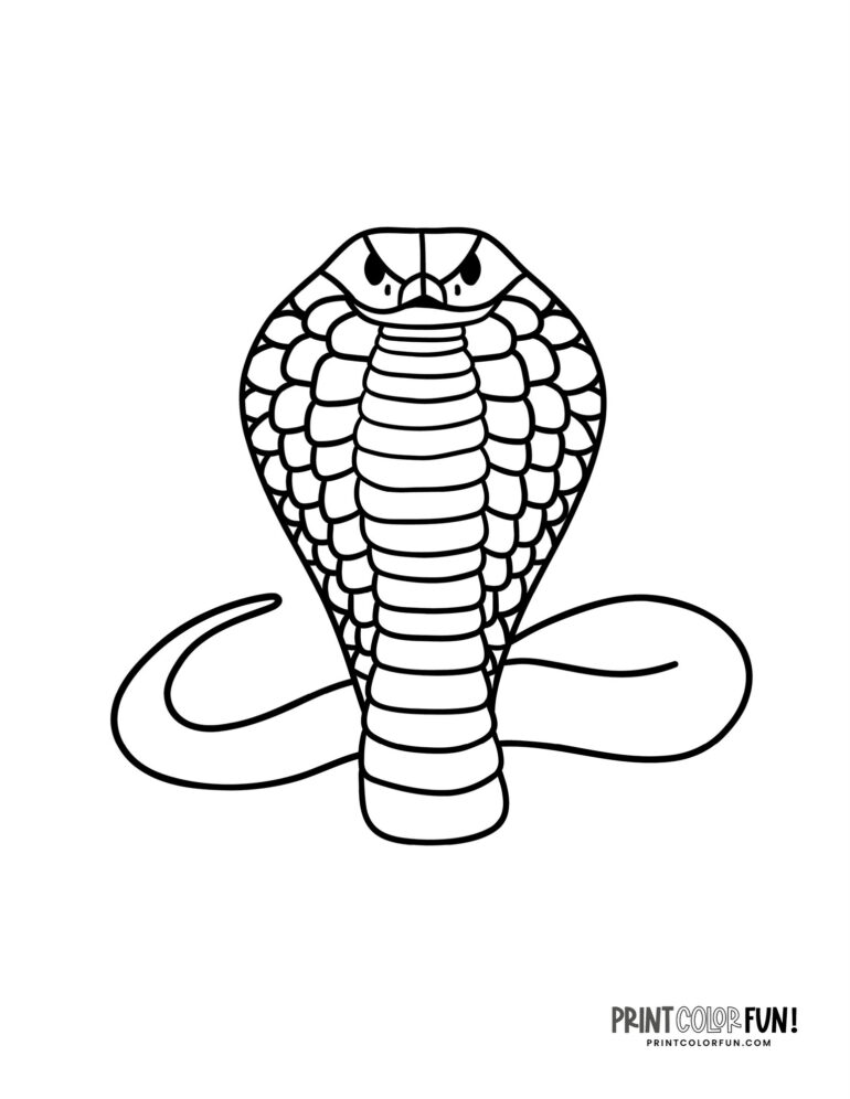 Snake coloring pages and clipart, at PrintColorFun.com