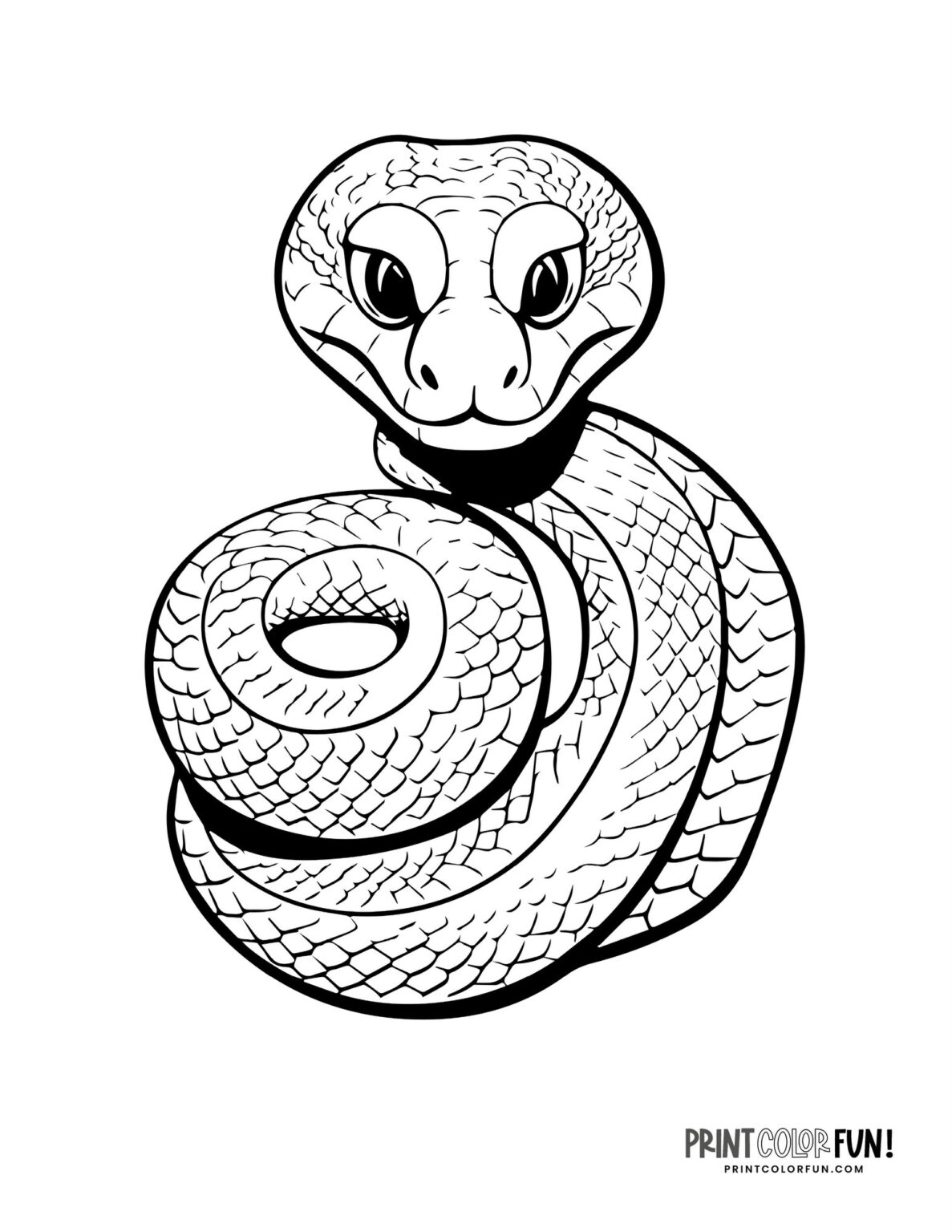 Snake coloring pages and clipart, at PrintColorFun.com