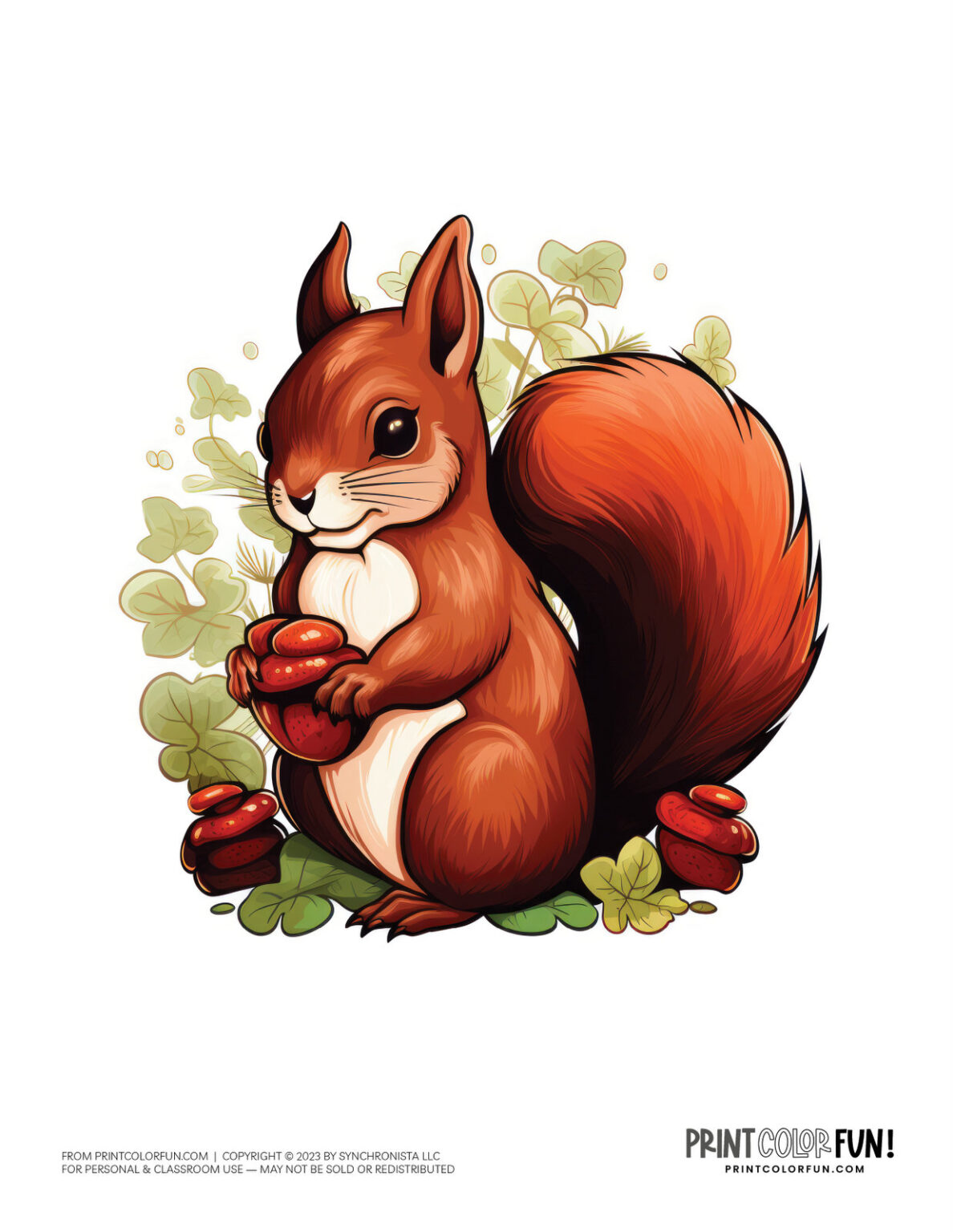 20+ Printable acorn clipart & coloring pages, plus crafts, fun facts ...