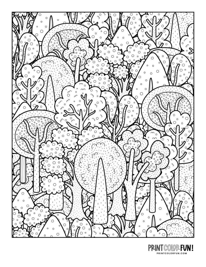 15 Forest clipart & coloring pages: Learning fun with mountains, trees ...