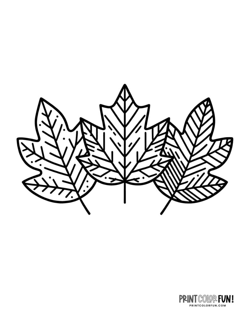 17 fall leaf coloring pages with easy craft & learning activities that ...