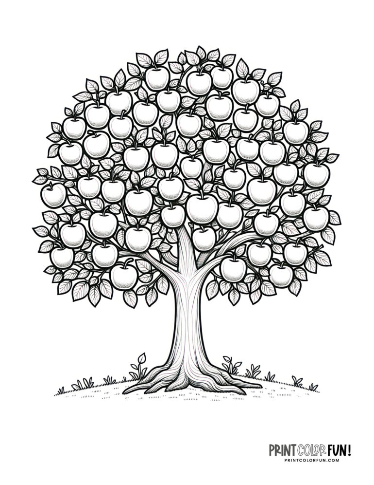 23 apple clipart & coloring pages to celebrate the autumn apple season ...