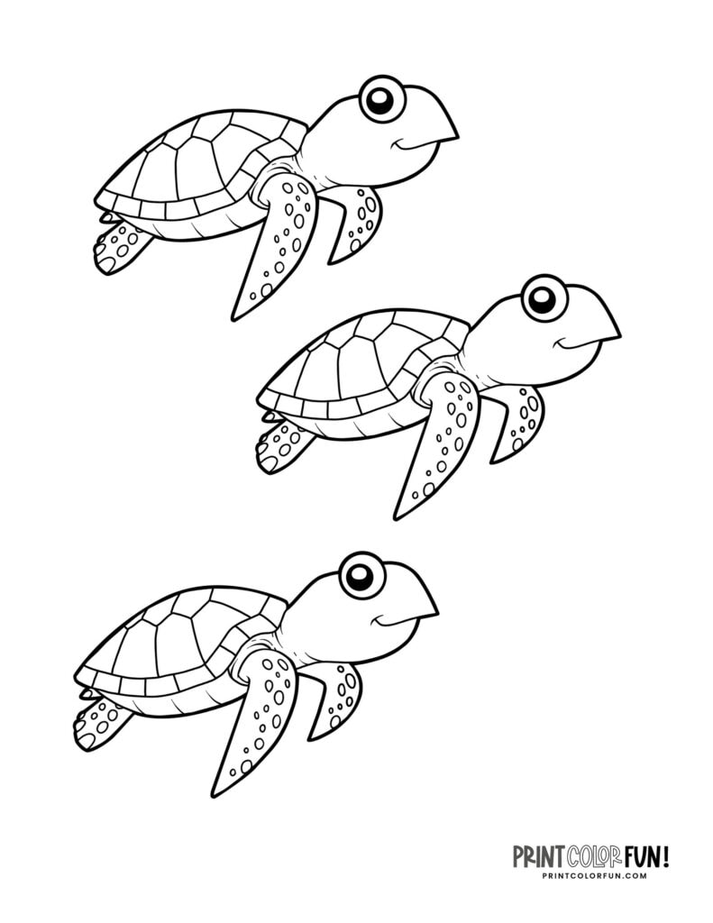 Sea turtle coloring pages & clipart, at PrintColorFun.com
