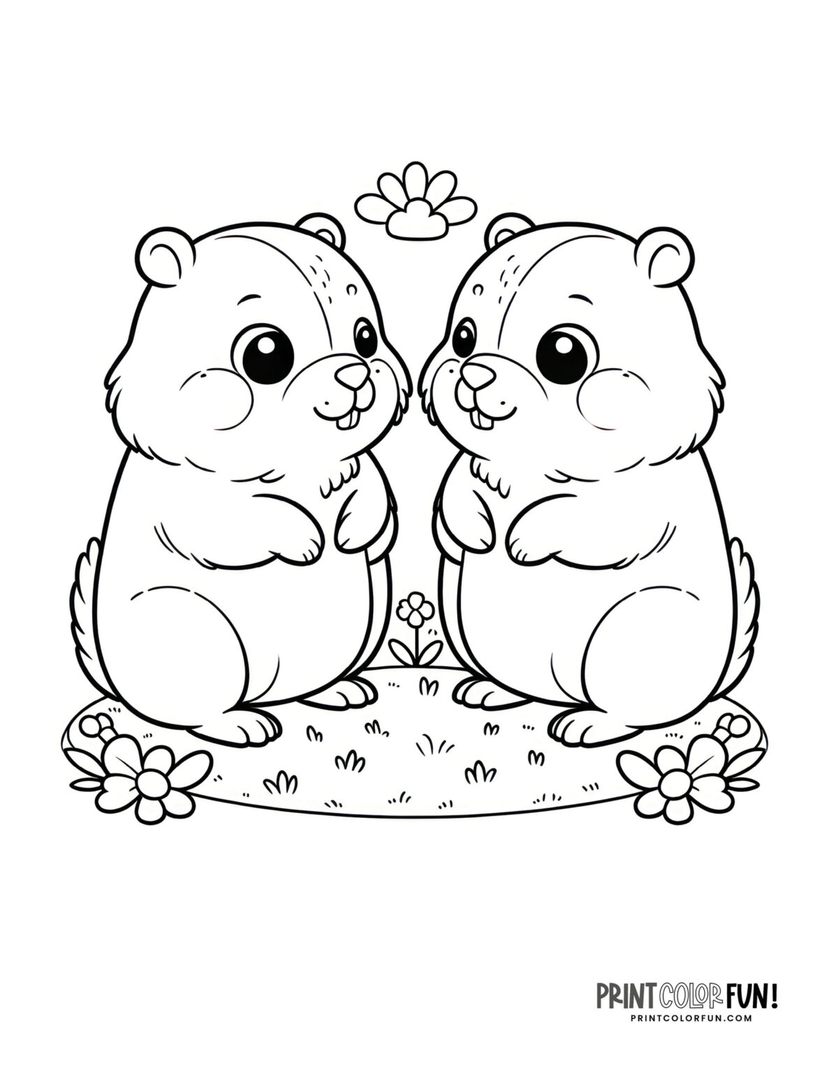 Woodchuck & groundhog coloring pages, at PrintColorFun.com