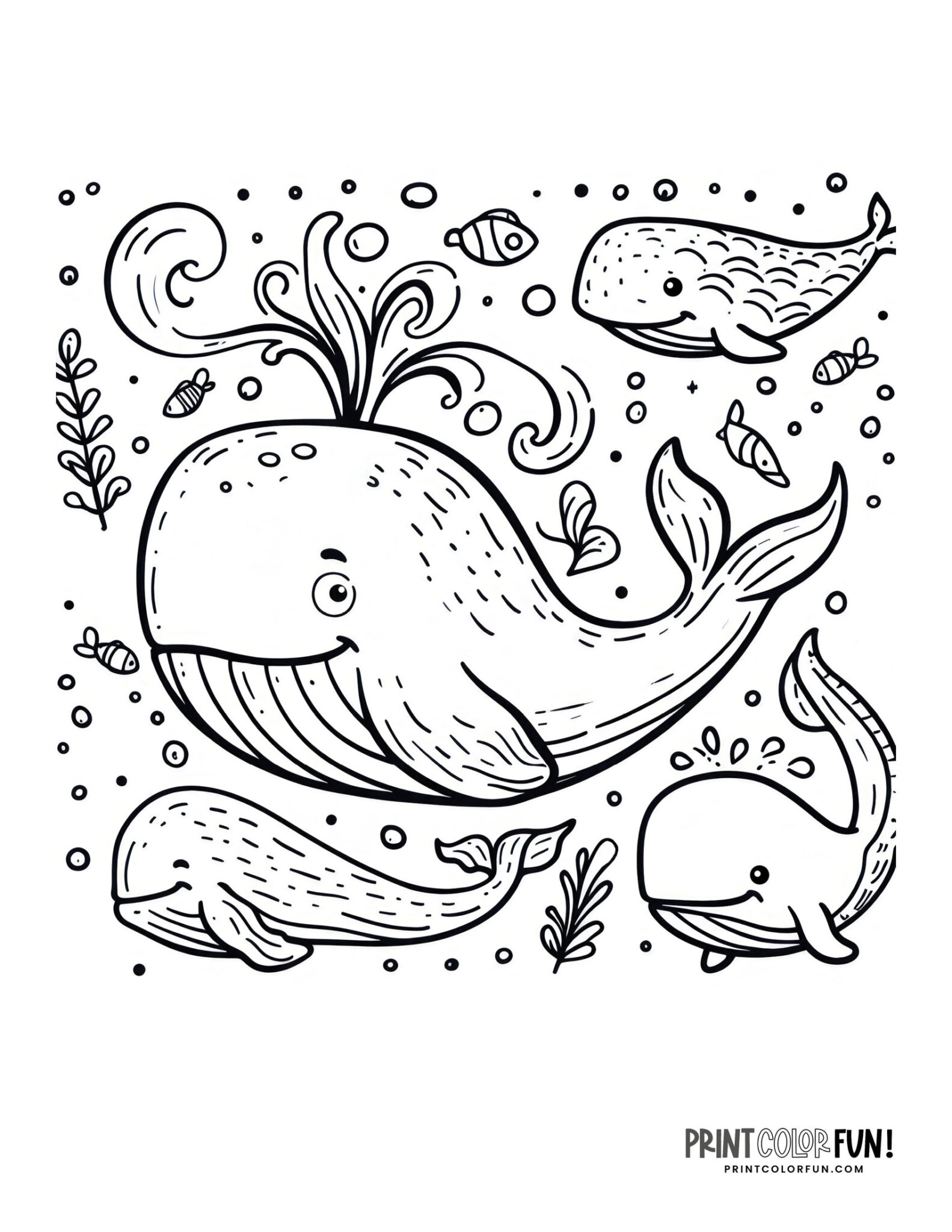 12 whale drawings & clipart: Add a splash of creativity & fun to ...