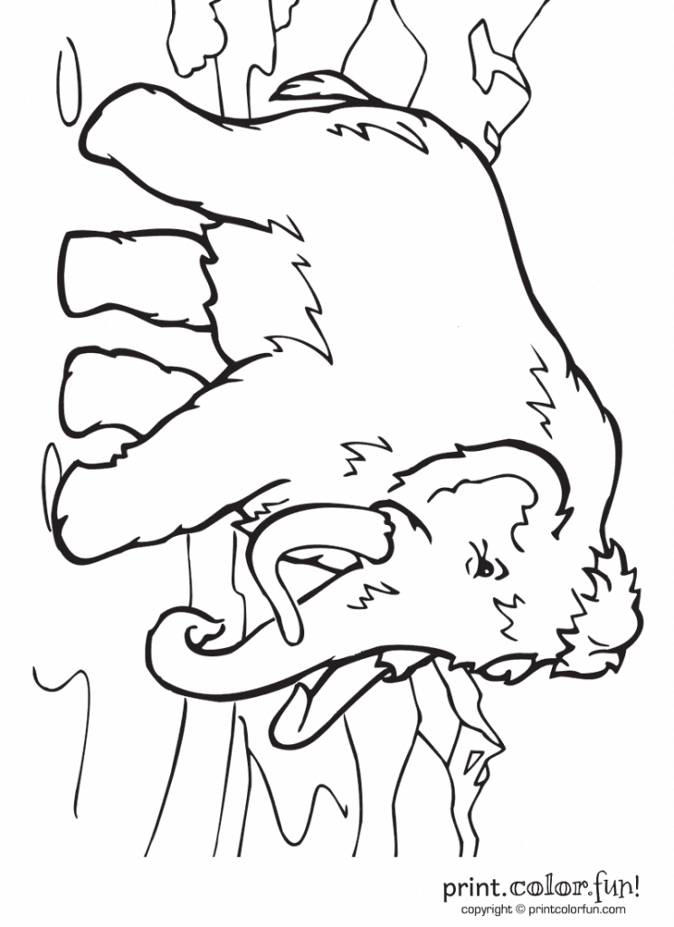 extinct - Print. Color. Fun! Free printables, coloring pages, crafts ...