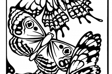 Butterfly and bug coloring pages & printables Archives - Print. Color ...