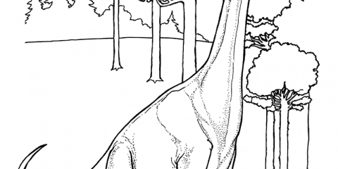 europe Archives - Print. Color. Fun! Free printables, coloring pages ...