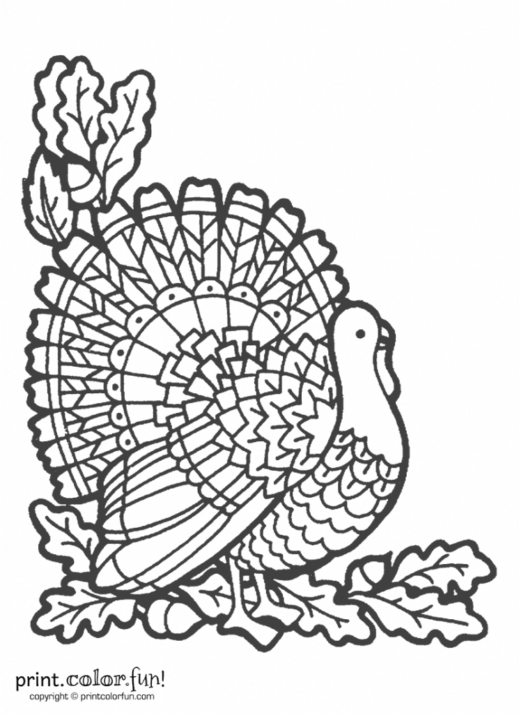 24 terrific Thanksgiving turkey coloring pages for some free printable ...